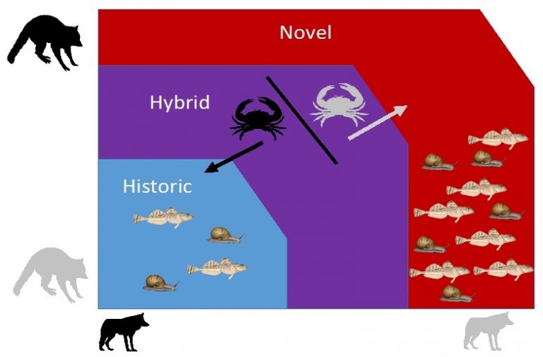 Effects – Novel Ecosystems